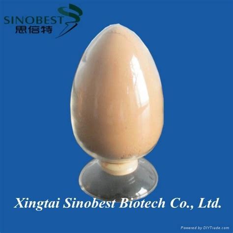 Alkaline Protease For Detergent Ap20 Xiangyu China Manufacturer Chemical Auxiliary