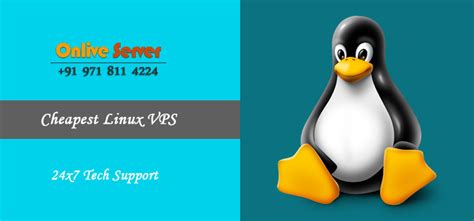acquire hybrid linux and windows cloud vps hosting with onlive server