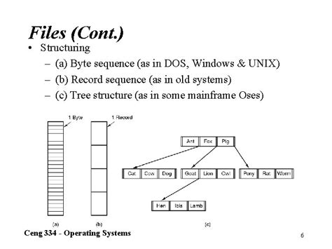 Chapter File Systems What Is A File