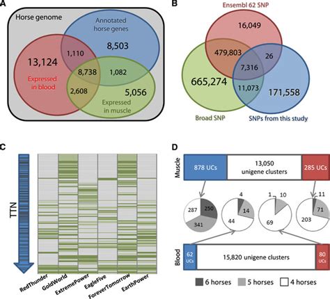 Enhanced Genome Annotation Single Nucleotide Variation Analyses And Download Scientific