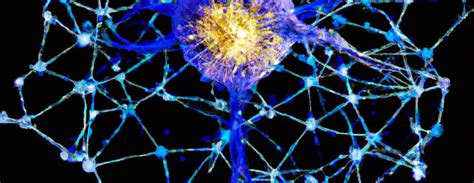 Ephemeral Horizons A Blog About My Mlds Mtg And Other Personal