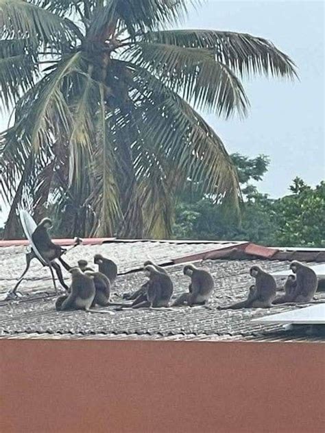 සමාජෙට සමාජෙට බම්බු ගහගන්න කියලා ජීවිතේ විඳින මිනිස්සු Facebook