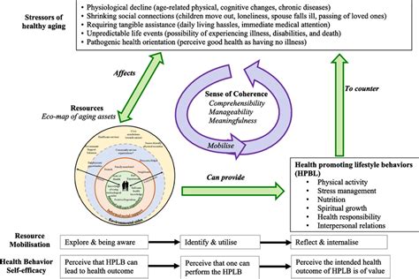 Conceptual Framework Of Shape Intervention Download Scientific Diagram