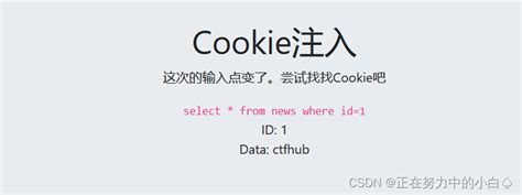 Ctfhub Cookie注入，ua注入，refer注入，过滤空格（利用hackbar插件）hackbar Referer Csdn博客