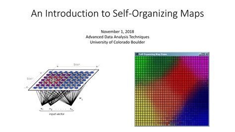 Ppt An Introduction To Self Organizing Maps Powerpoint Presentation