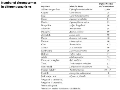 Chromosome Structure Ppt Principals Of Genetics Ppt Genetics Science