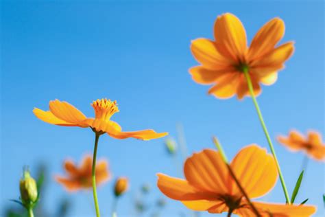 Our Sustainability Manifesto Crif