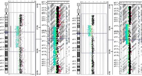 Cgh Profiles Of Large Deletions In Patients With Urb And Trb Download