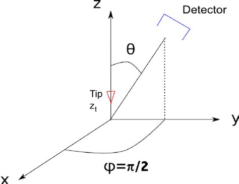 Tip And Detector Position Download Scientific Diagram