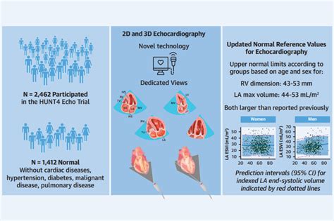 Normalized Echocardiographic Values From Guideline Directed Dedicated Views Translational