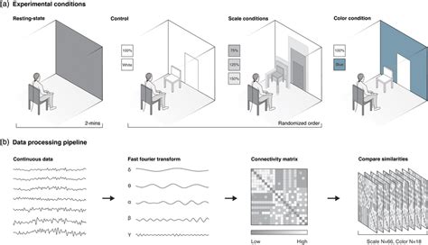 Experimental Conditions And Data Processing Pipeline Schematic A