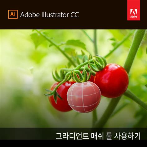 Adobe Korea Ai 일러스트레이터 기초 영상 강좌 꼭 필요한 네 가지 기능별 영상강좌를