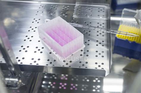 Cell Based Testing Kit In Bioengineering Laboratory — Biomedical