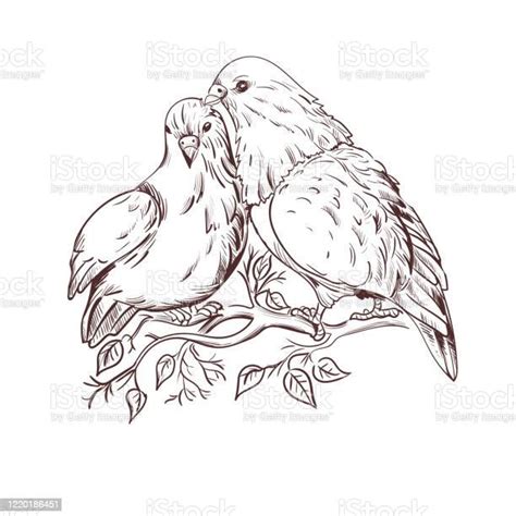 2 월 14 비둘기 조류 는 나뭇 가지에 사랑 고립 된 부부의 상징 잎나무에 앉아 비둘기와 세인트 발렌타인 데이 휴일 인사말 카드 사랑스러운 새와 엽서의 벡터 그림 비둘기에