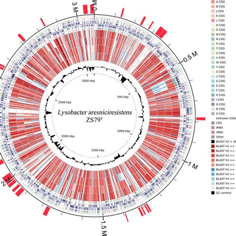 Shengzhe Zhang Pi Doctor Of Philosophy Yangzhou University Yangzhou Medical College