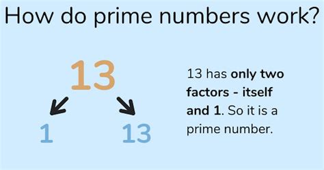 number is prime or not sirisha challagiri medium