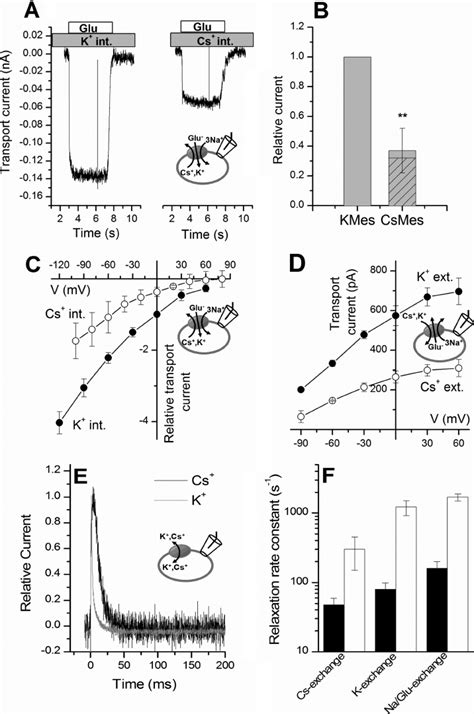Cation Dependence Of The Voltage Dependent Relocation Steps Of The Download Scientific
