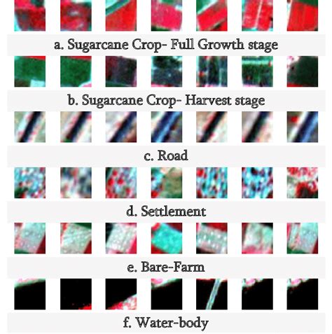 A F Sample Image Patches Created For Training And Testing Dataset