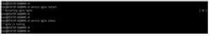 Nginx Modules How To Configure And List Installed Nginx Modules