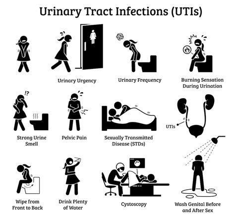 Urinary Tract Infection Uti Signs Bladder Inflammation Sex Medical