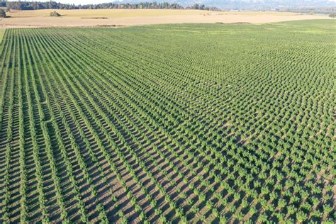 Brett Veatch Berkshire Hathaway Homeservices Northwest Real Estate Crexi