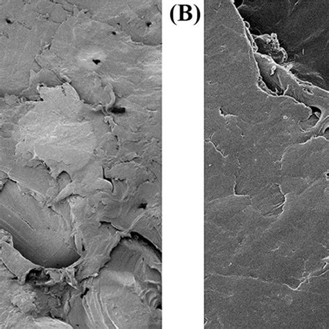 Separation And Recovery Of Textile Microplastics By Density Separation