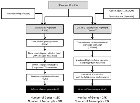 The Bioinformatics Pipeline To Analyse The RNA Seq Samples Obtained Download Scientific