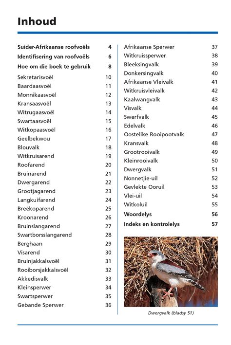 Eerste Veldgids Roofvoëls Van Suider Afrika Struik Nature