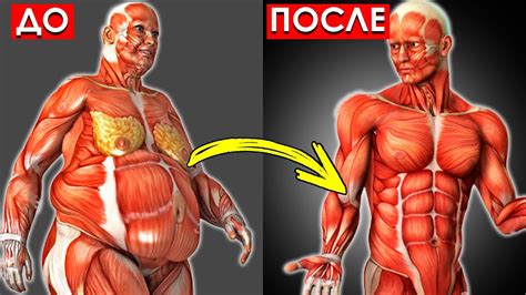 4 ПРОВЕРЕННЫХ способа Для Мужчин После 40 Лет, Чтобы Избавиться от Жира ...