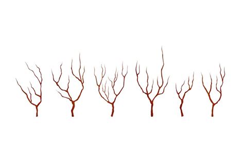 Bare Tree Branches Without Leaves Or Flowers Autumn Trees