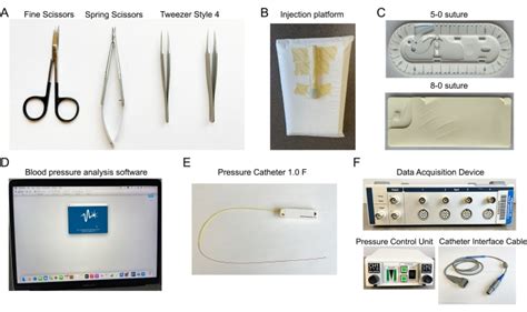 Multiple Intravenous Bolus Dosing And Invasive Hemodynamic Assessment In A Hypoxia Induced Mouse
