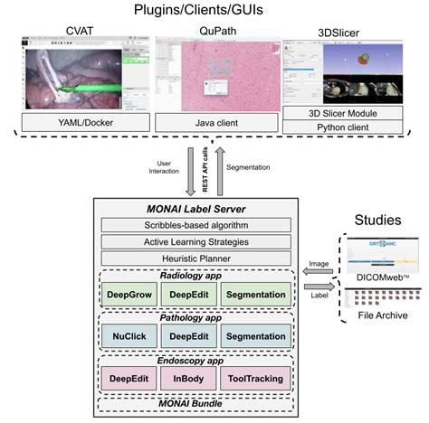 Monai Label Nvidia Docs