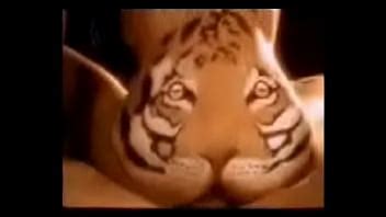 Feeding Tiger XNXX COM