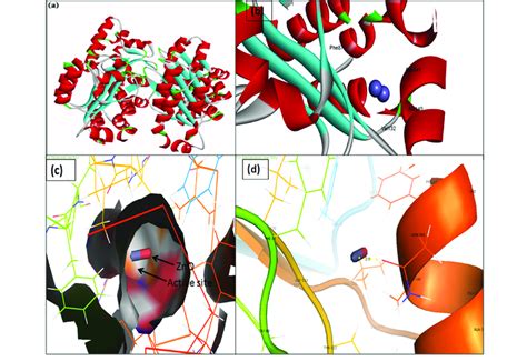 3d Structure Of Transcriptional Activator Protein Lasr A Binding Of Download Scientific