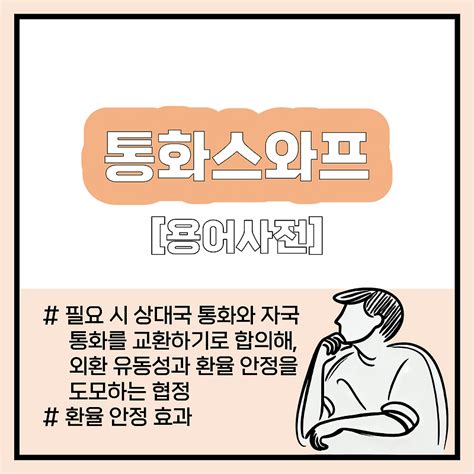 용어사전 통화스와프란 외환위기와 환율 변동에 대응하는 국가 간 통화교환협정