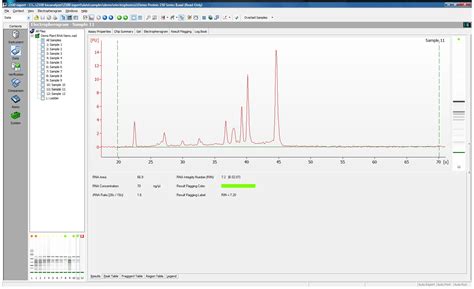 Bioanalyzer Services Lsu Genomics