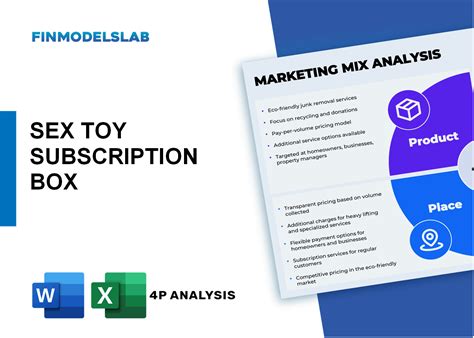 Sex Toy Subscription Box Marketing Mix Analysis 2025