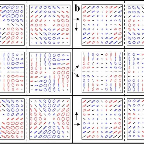 Polarization Distributions Of Vector Beams Superposed By Two Orthogonal Download Scientific