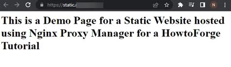 how to install and use nginx proxy manager with docker
