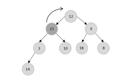 Heap Sort Algorithm