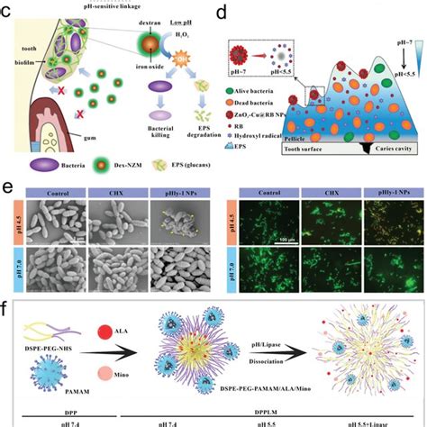 Rational Designs Of Biomaterials For Combating Oral Biofilm Infections