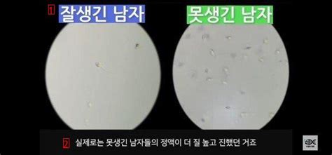 잘생긴 남자보다 못생긴 남자의 정액이 더 우수하다 촬스의 이슈와 유머