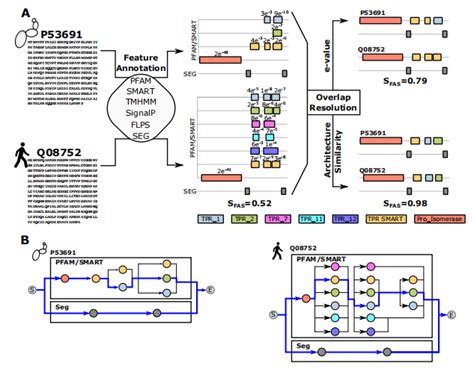 学术速运fas：利用多层特征结构评估蛋白质之间的相似性结构相似性蛋白质 Csdn博客