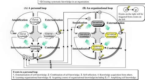 dual loop model partly simplified download scientific diagram