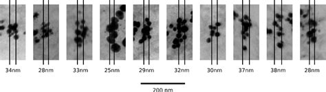Figure 4 From Three Dimensional Localization Of Cenp A Suggests A