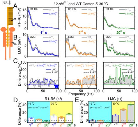 Adaptation Acting Through L R Feedback Helps To Whiten LMC Download Scientific Diagram