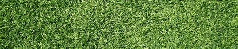 5 Benefits Of Artificial Grass For Schools