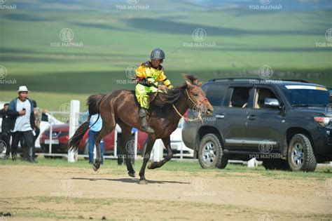 Монгол магнай уралдаанд Ж Золбоогийн бор азарга түрүүллээ