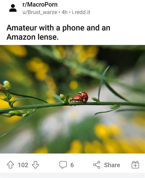 4786 Best MacroPorn Images On Pholder Macro Porn Subs Taken Literally And Spiders