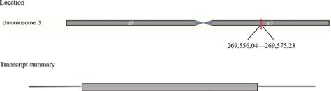 Location Of Osthic In The Rice Genome And Structure Of The Osthic Gene Download Scientific